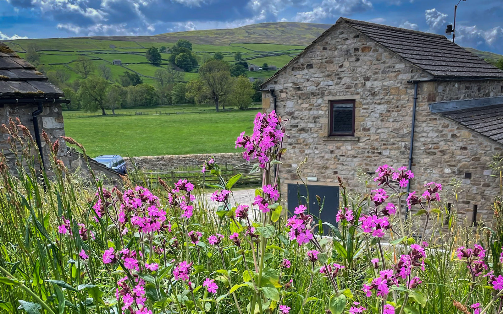 Family Cycling - Yorkshire Dales | Dales Bike Centre - DalesBikeCentre